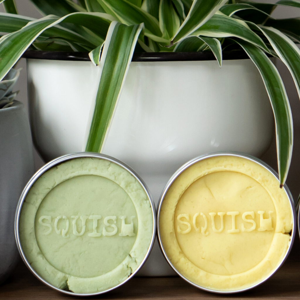 Squish Smell Training Kit (as seen on abScent) | Squish Therapy Dough UK