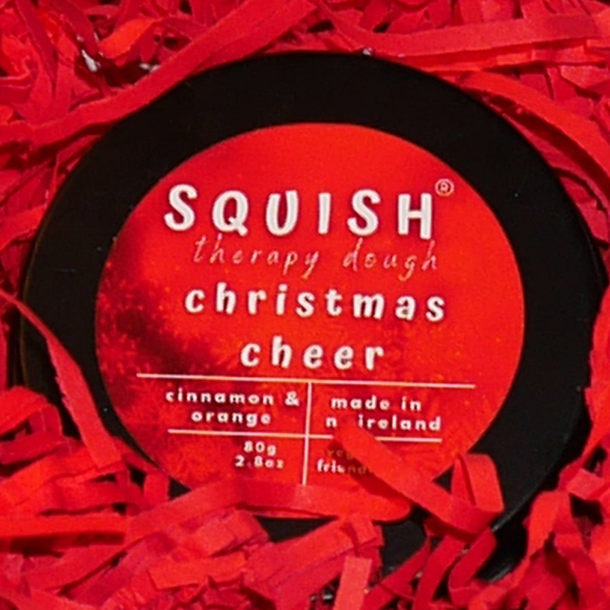 Christmas Cheer - Cinnamon, Orange & Clove – Squish Therapy Dough